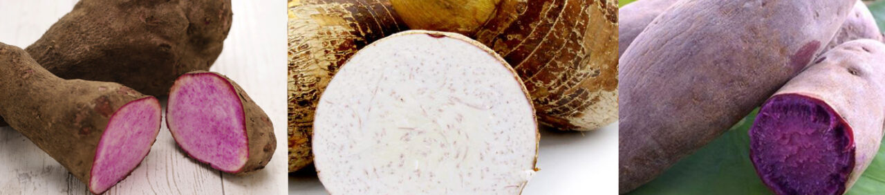 Ube Purple Yam: know what it is, how to use it & much more