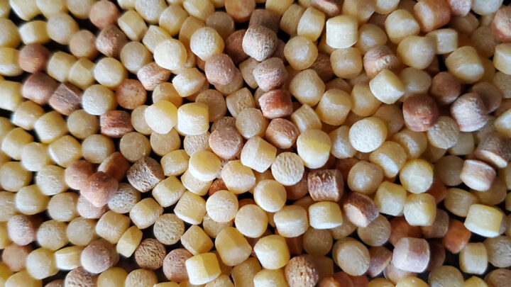 Fregola Pasta